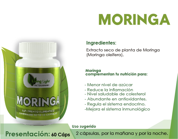 Moringa 60 Caps :: Suplementos Living-Light Mexico